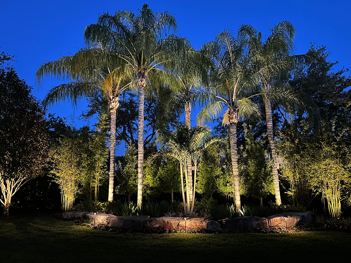 Backyard Design Ideas by an Orlando, Florida Landscape Designer