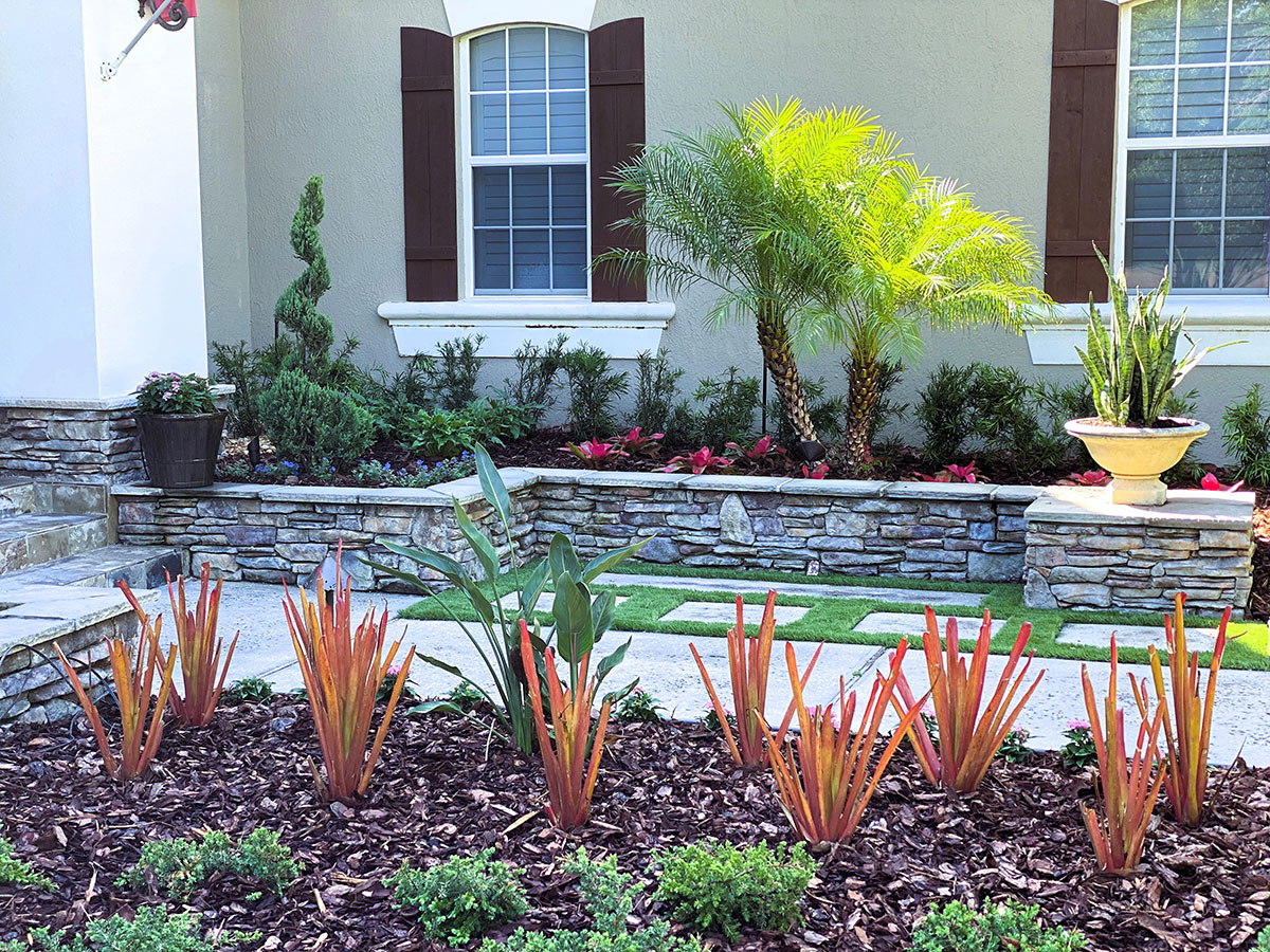 Florida Landscaping Ideas Back Yard